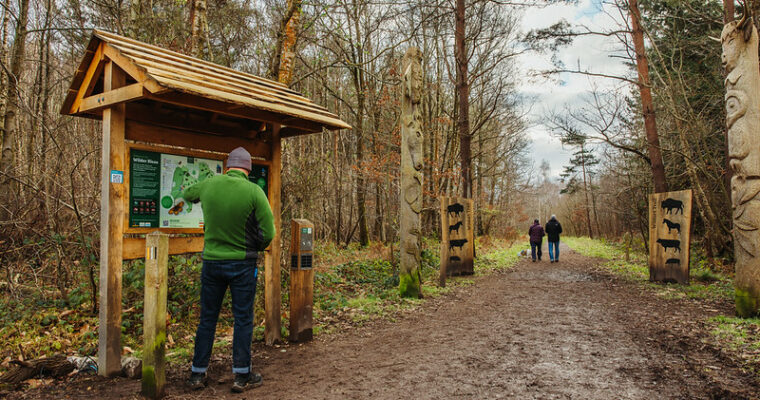 Blean Farm - JS - St Edmund's School